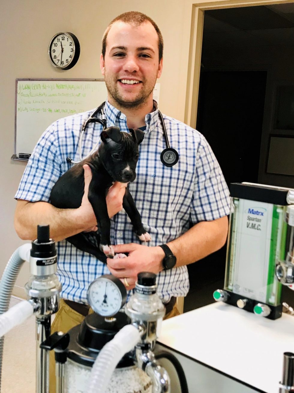 Veterinarians in Rochester, NY | Dr. Scott Miner - Brighton Animal Hospital